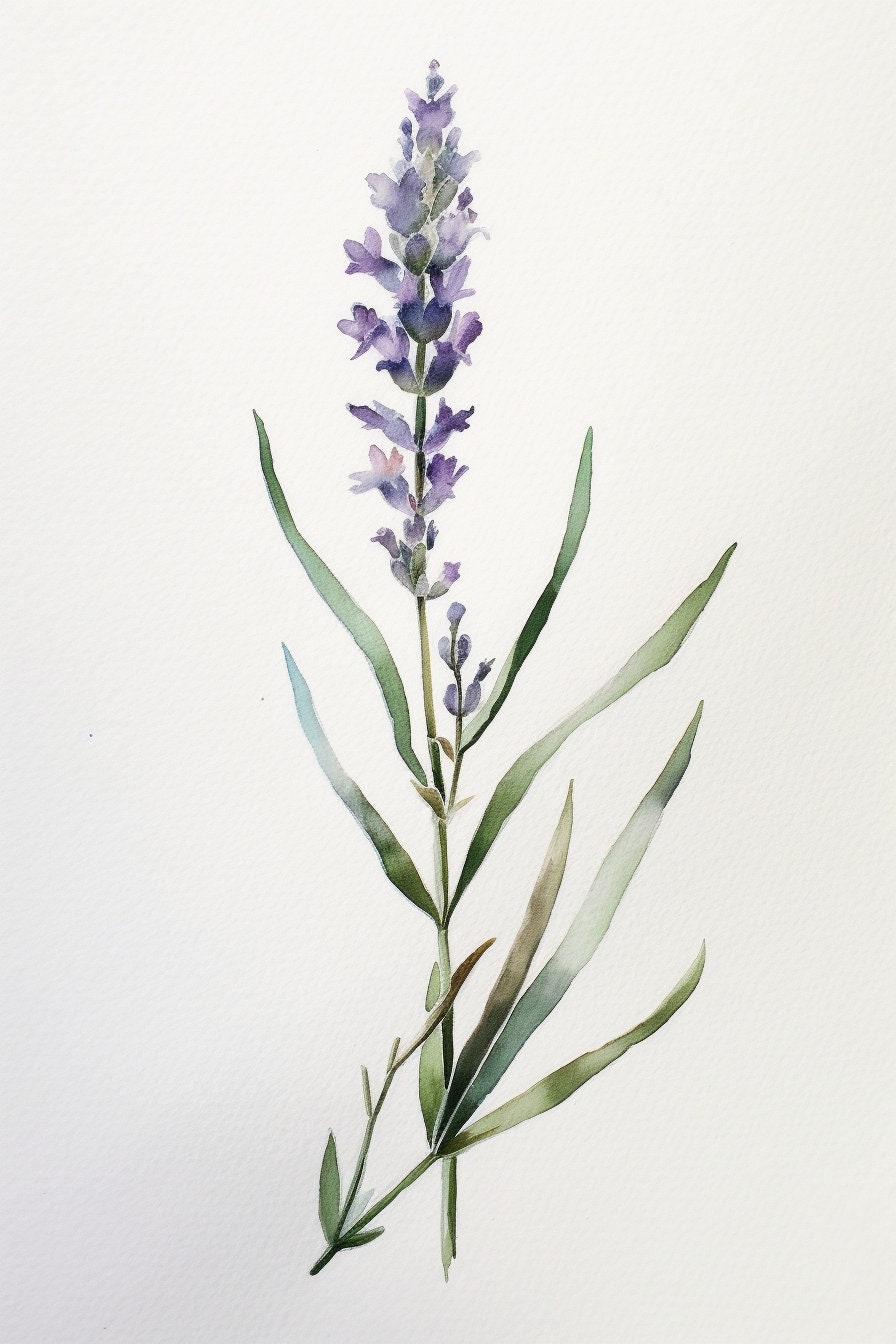 Minimal Lavender Sprig Original Watercolor Botanical Print Digital Minimal Lavender Sprig Original Watercolor Botanical Print Digital