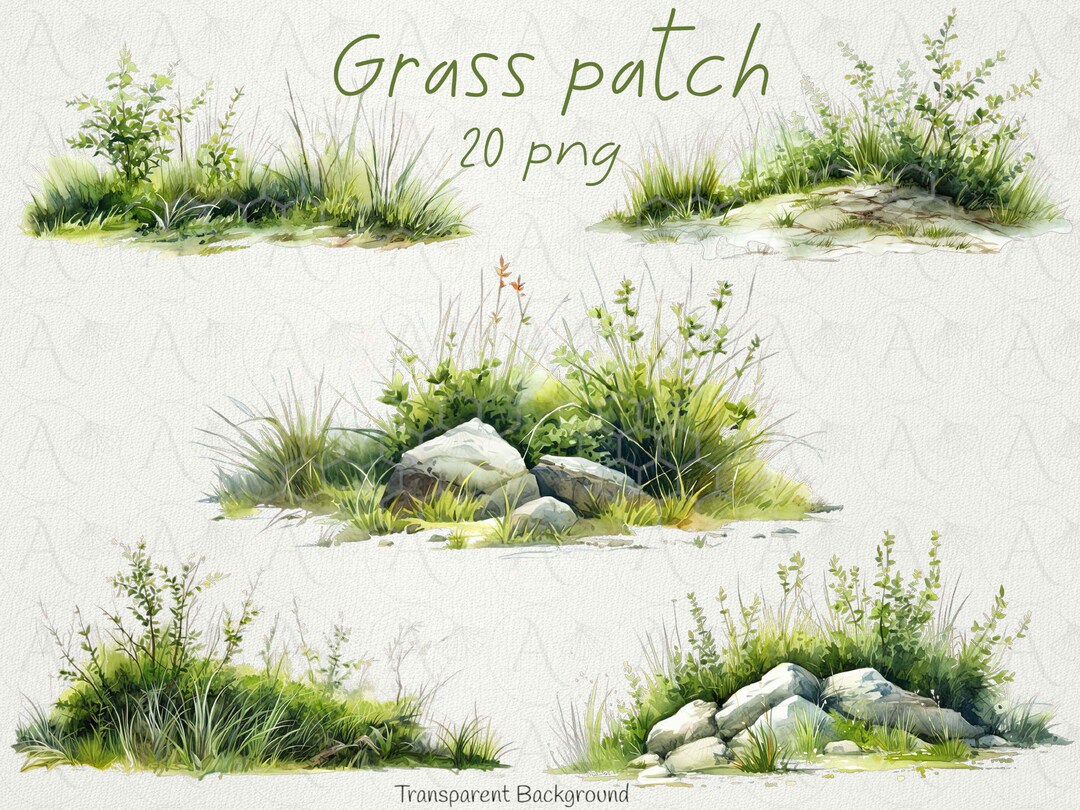 Watercolor Grass Clipart Bundle: Botanical Borders, Stone PNG (digital ...