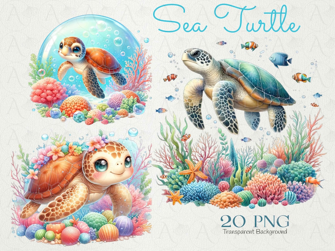 Baby Sea Turtle PNG Clipart Bundle (digital Download) - Etsy