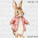Flopsy Bunny Rabbit PNG - Rabbit Pink Flopsy Bunny PNG, Sublimation ...