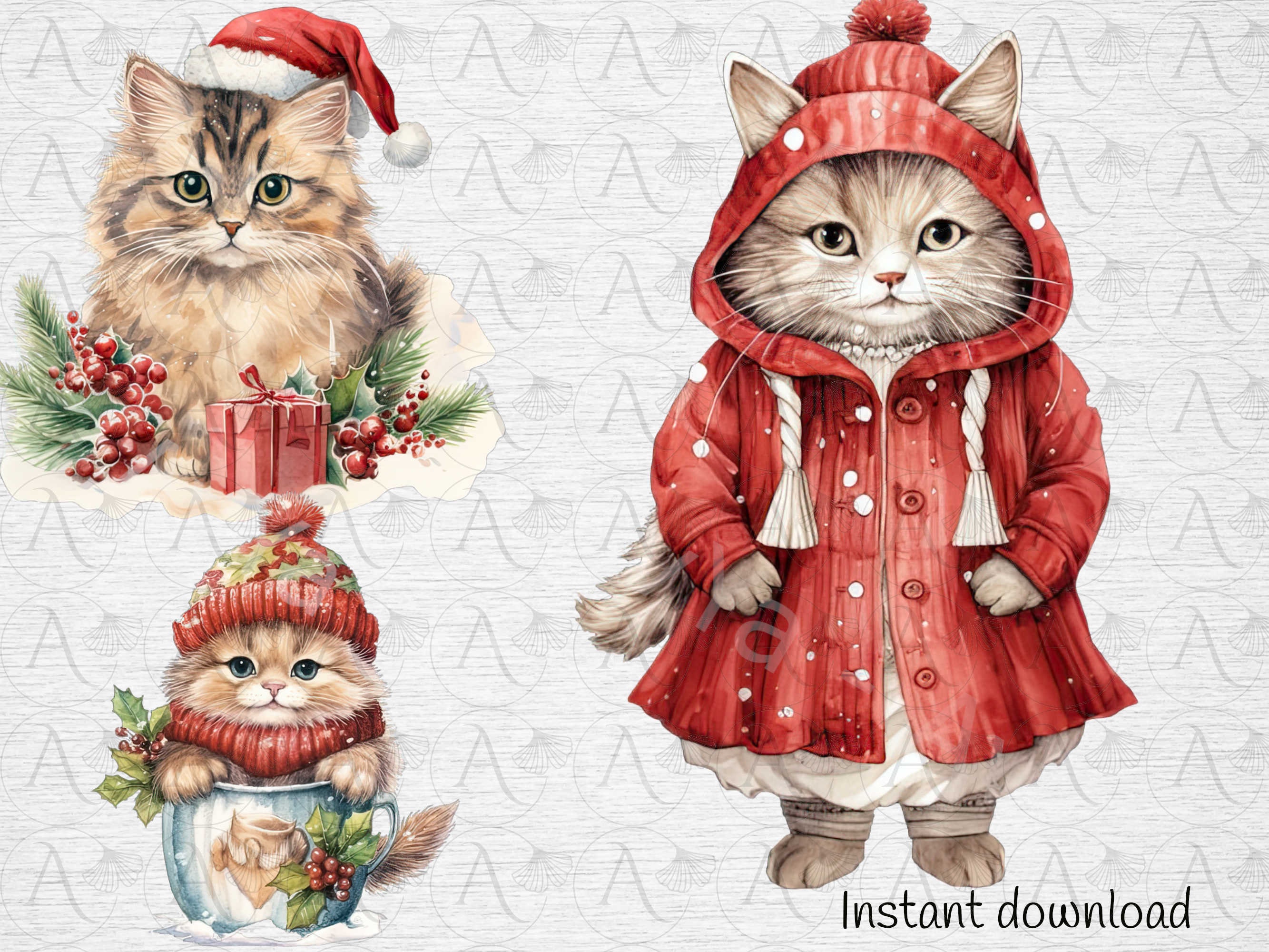 Christmas Cat Clipart Cat PNG Clipart Christmas Santa Hat - Etsy
