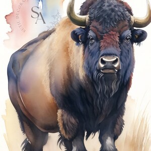 Wild Beauty: A Bison's Majesty in Digital Poster Print - Etsy