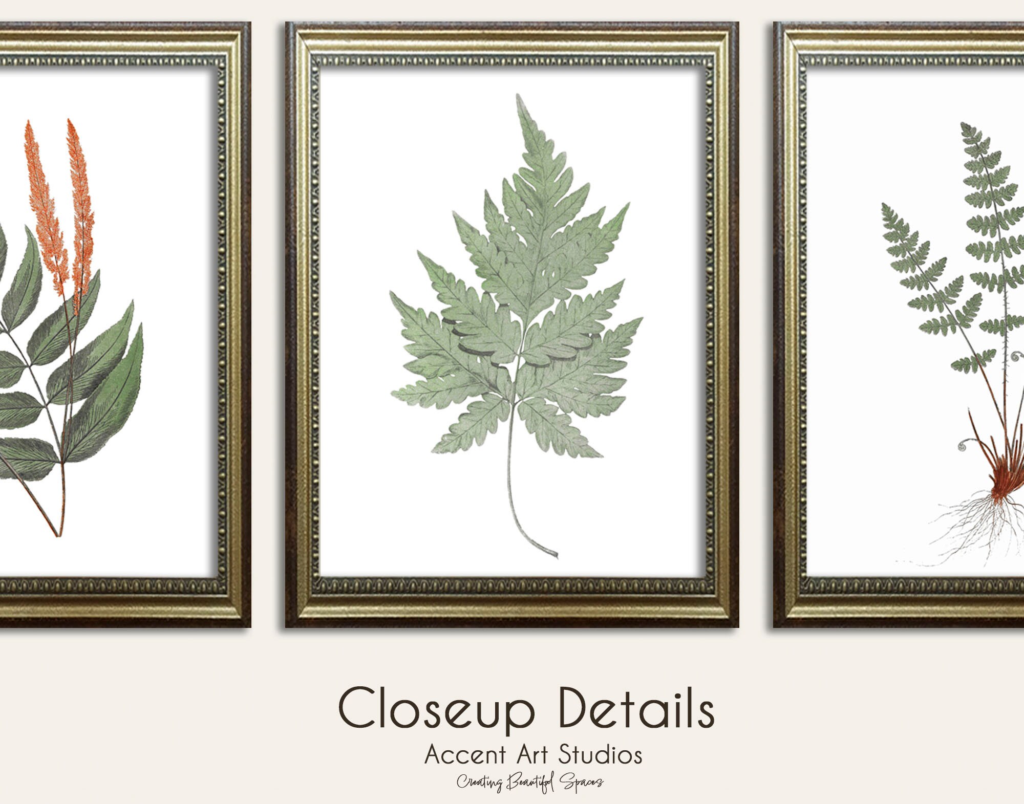 Muted Green Vintage Botanical Illustration/ Gallery Wall Collection Six ...
