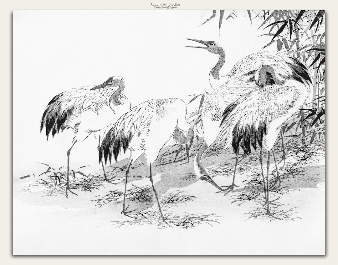 Antique Crane Wild Life Drawing Wall Art/ Vintage Sketch Farmhouse or ...