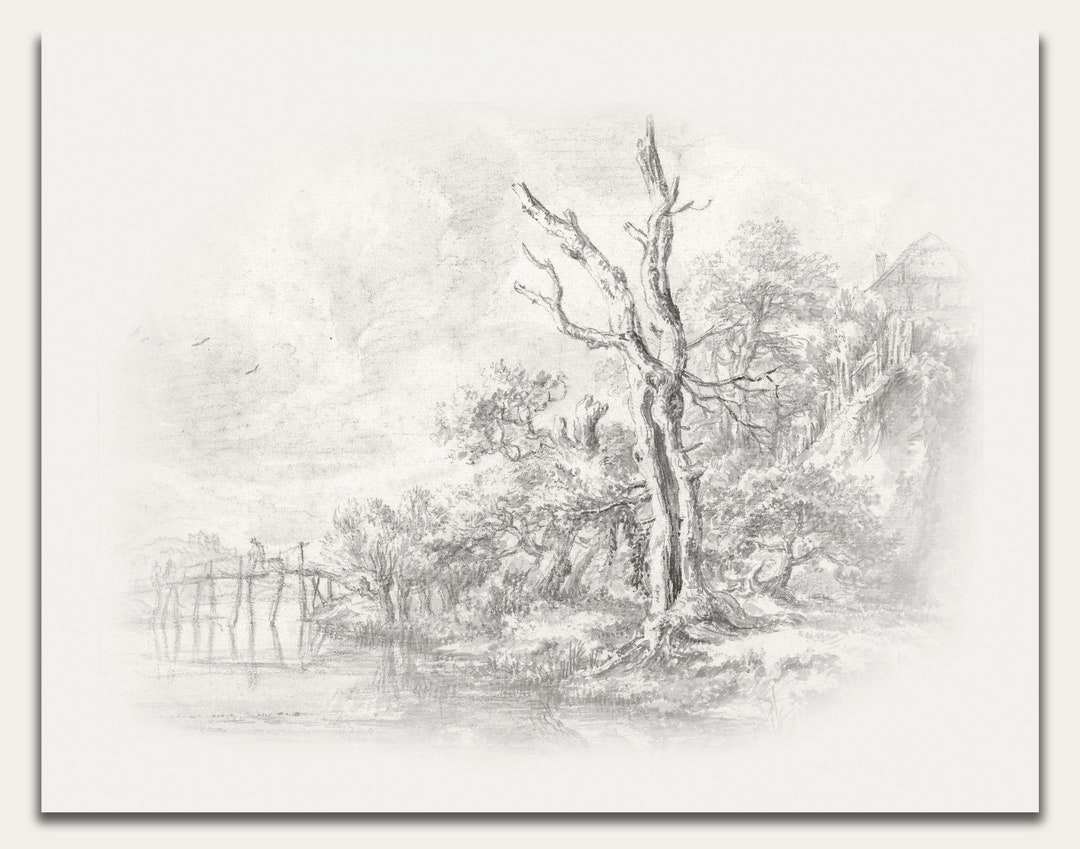 Moody Vintage Tree Sketch/ Rustic Antique European Landscape Drawing ...