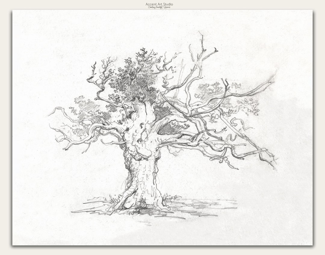 Rustic Oak Tree Sketch/ Moody Tree Wall Art for Antique Farmhouse or ...