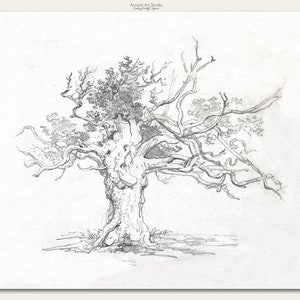 Rustic Oak Tree Sketch/ Moody Tree Wall Art for Antique Farmhouse or ...