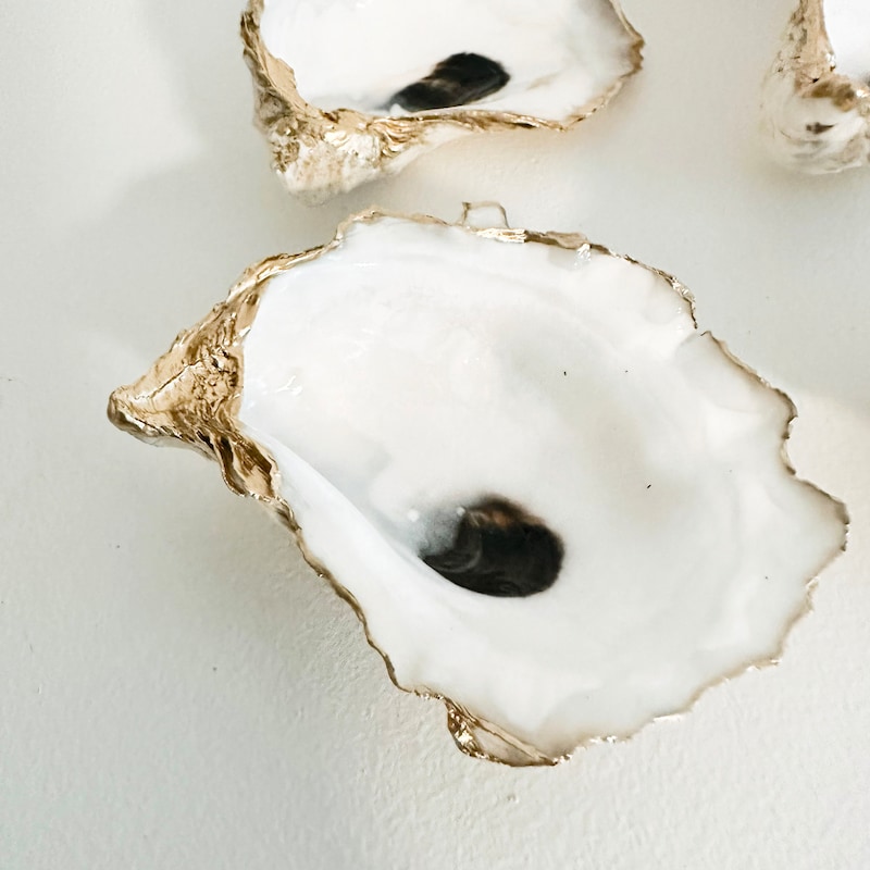 Oyster Shell Decor - Etsy