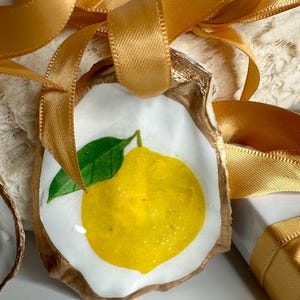 Lemon Shell Oyster Keepsake Gilded Cape Cod Art Lemon Tree for the Cook ...