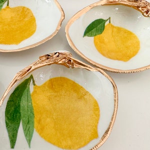 Lemon Shell Oyster Keepsake Gilded Cape Cod Art Lemon Tree for the Cook ...
