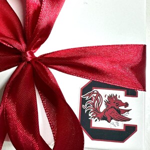 University of South Carolina Graduation Handmade Ornament Decor Hang ...