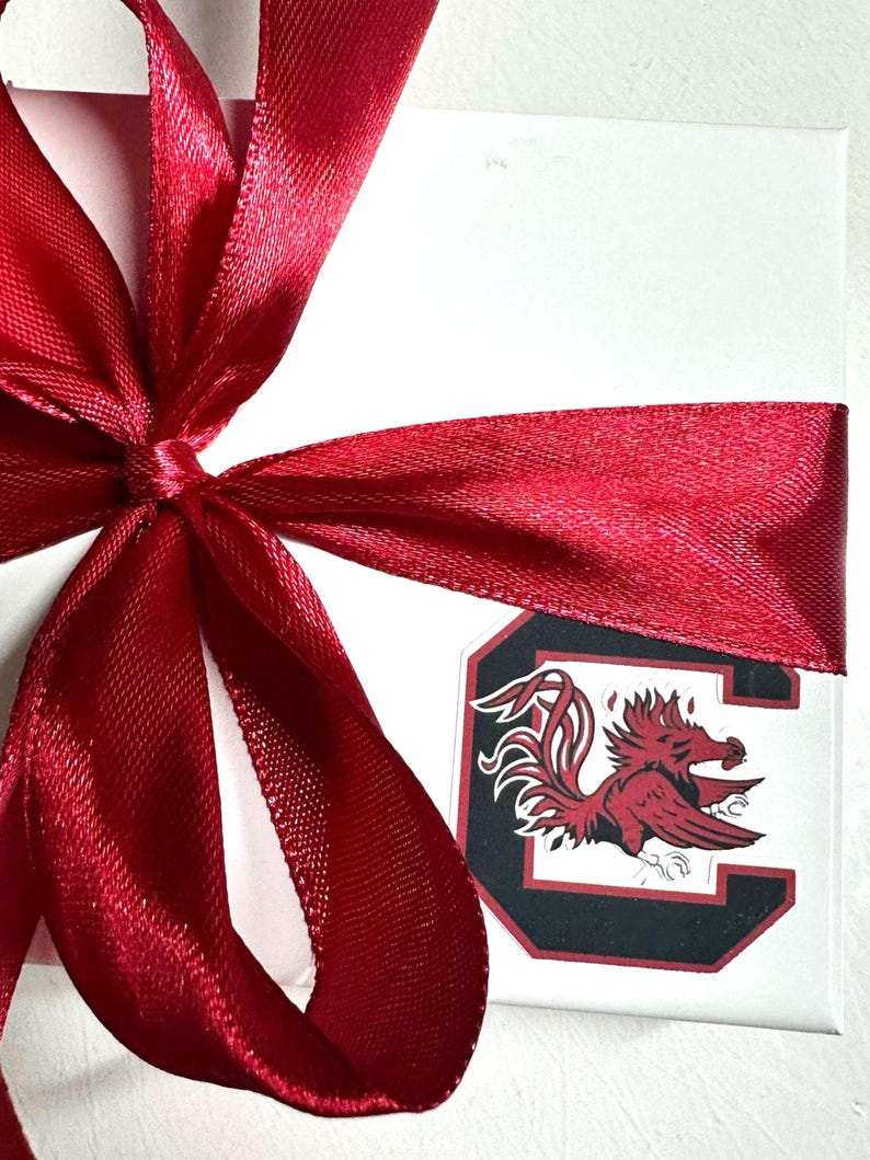 University of South Carolina Graduation Handmade Ornament Decor Hang ...
