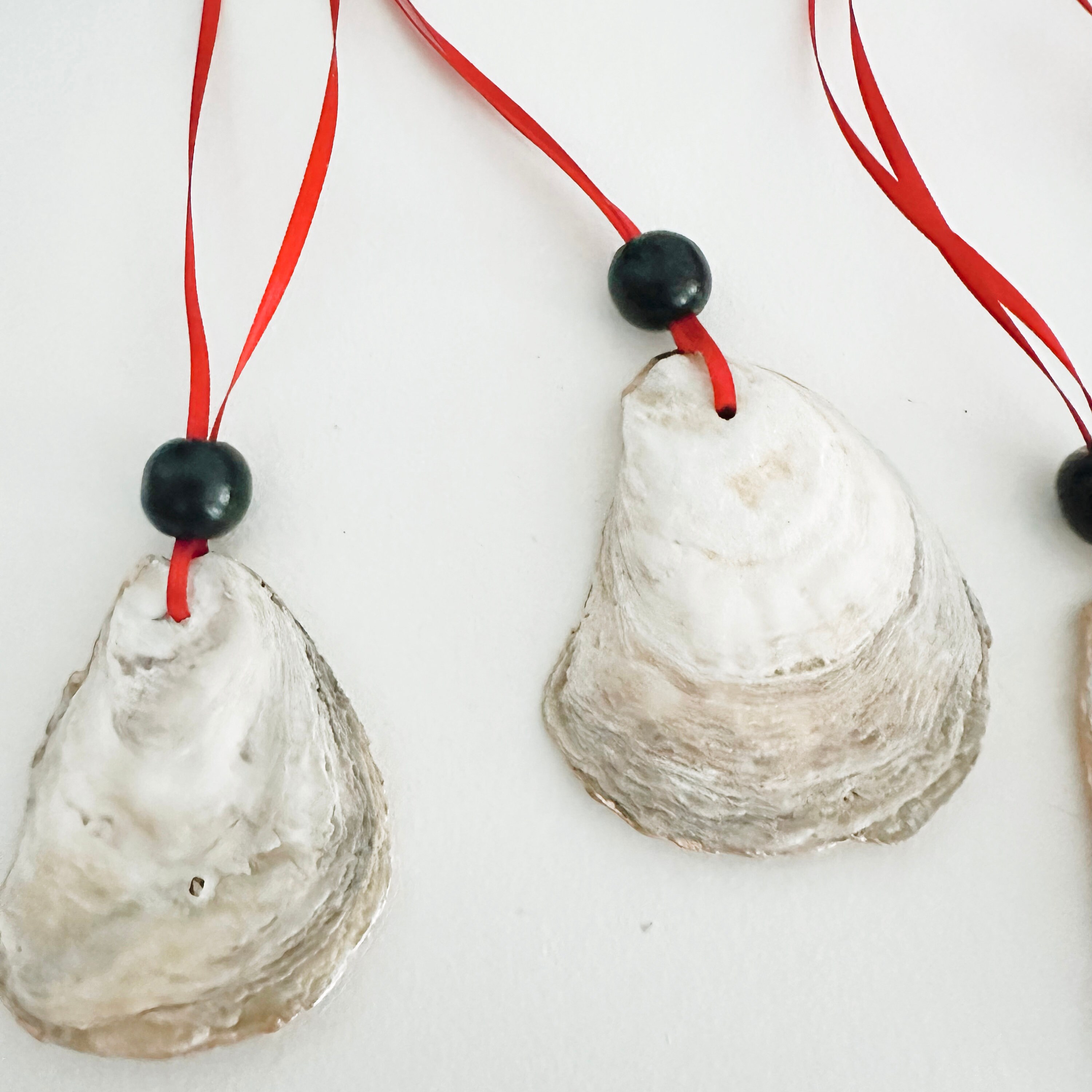 Gamecocks Handmade Ornament Shell Decor Hang Tag Collegiate University ...