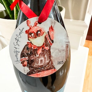 University of South Carolina Graduation Handmade Ornament Decor Hang ...