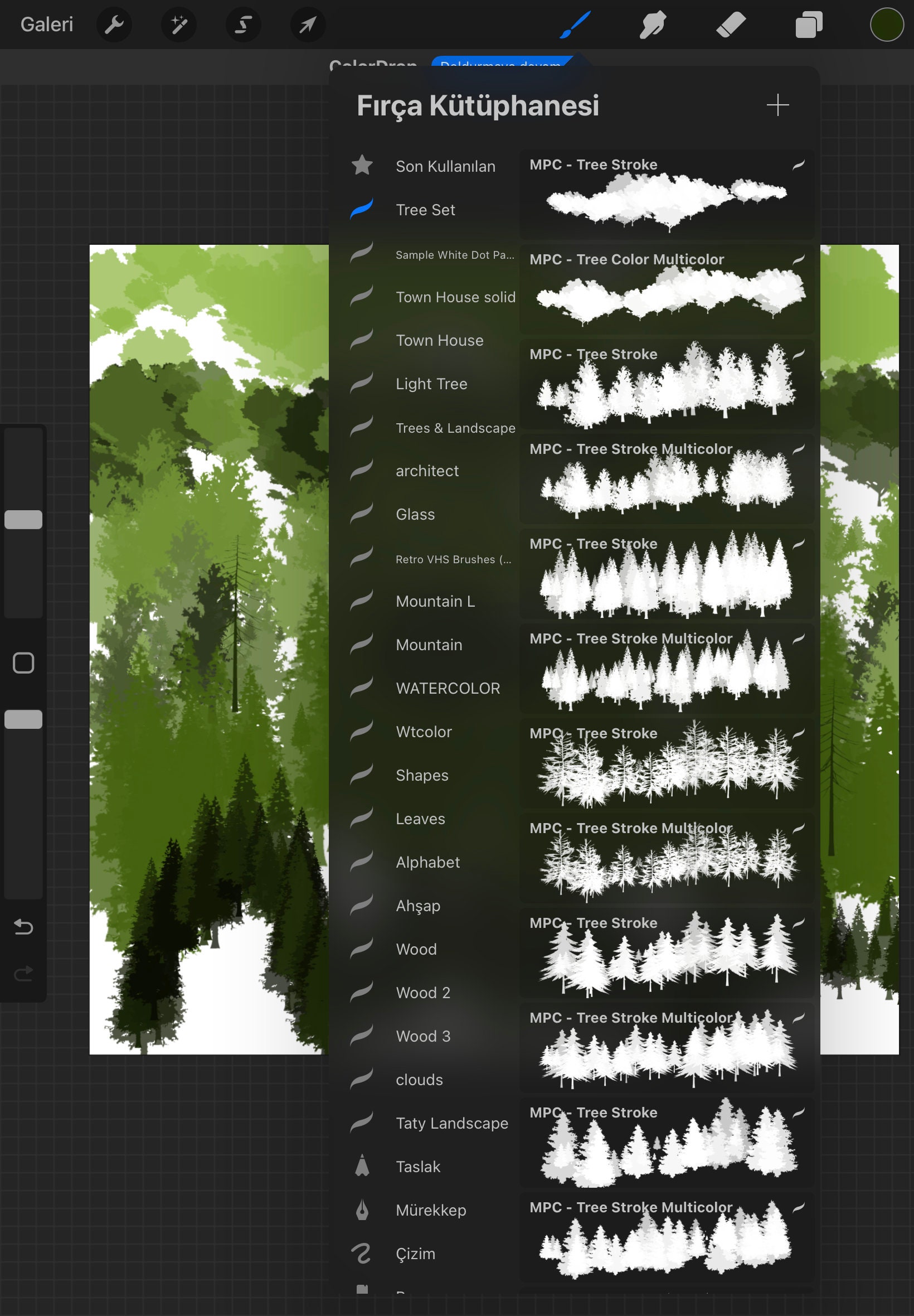 160 Procreate Tree Brushes,tree Silhouette Stamp Brush Set,procreate ...