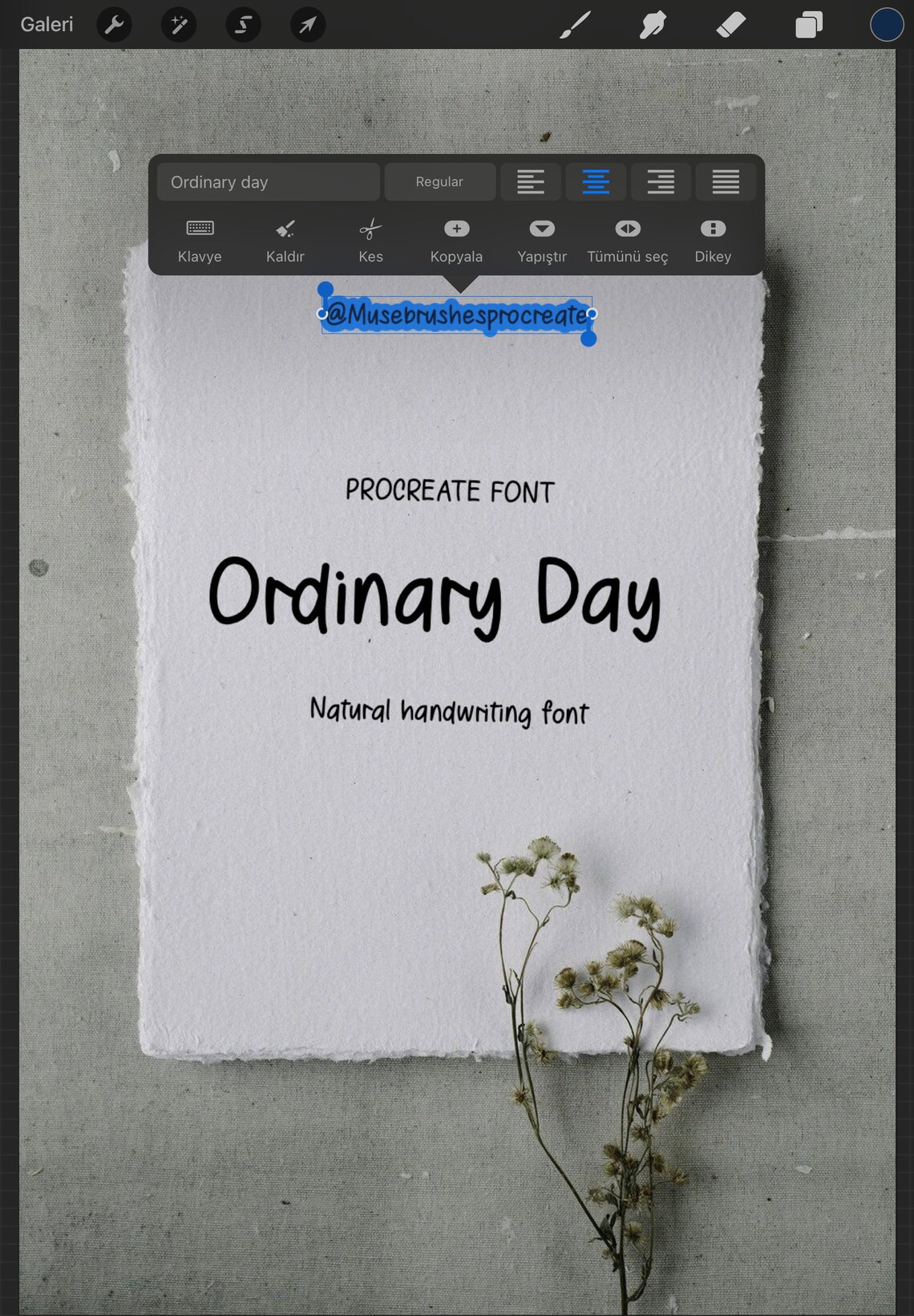Ordinary Day | Handwritten Font Bundle | Procreate Fonts | Planner ...