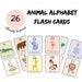 26 Animal Alphabet Flash Card for Preschoolers Pre-school Cards ...