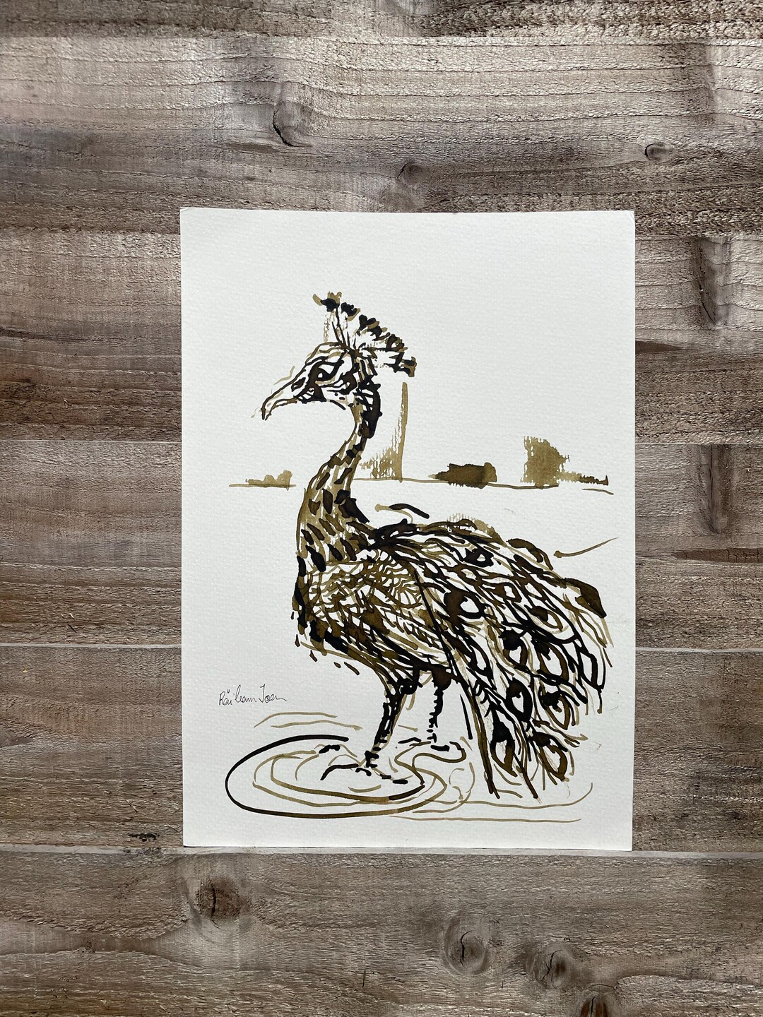 Peacock Ink Drawing: Original A4 Bird Artwork - Hand-signed - Etsy