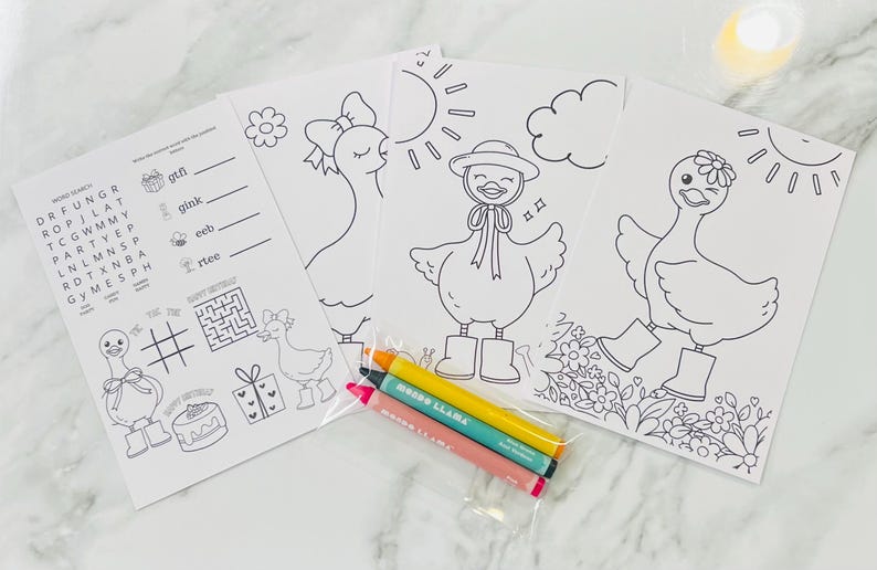Silly Goose Coloring Page Party Favor, Kids Birthday - Etsy