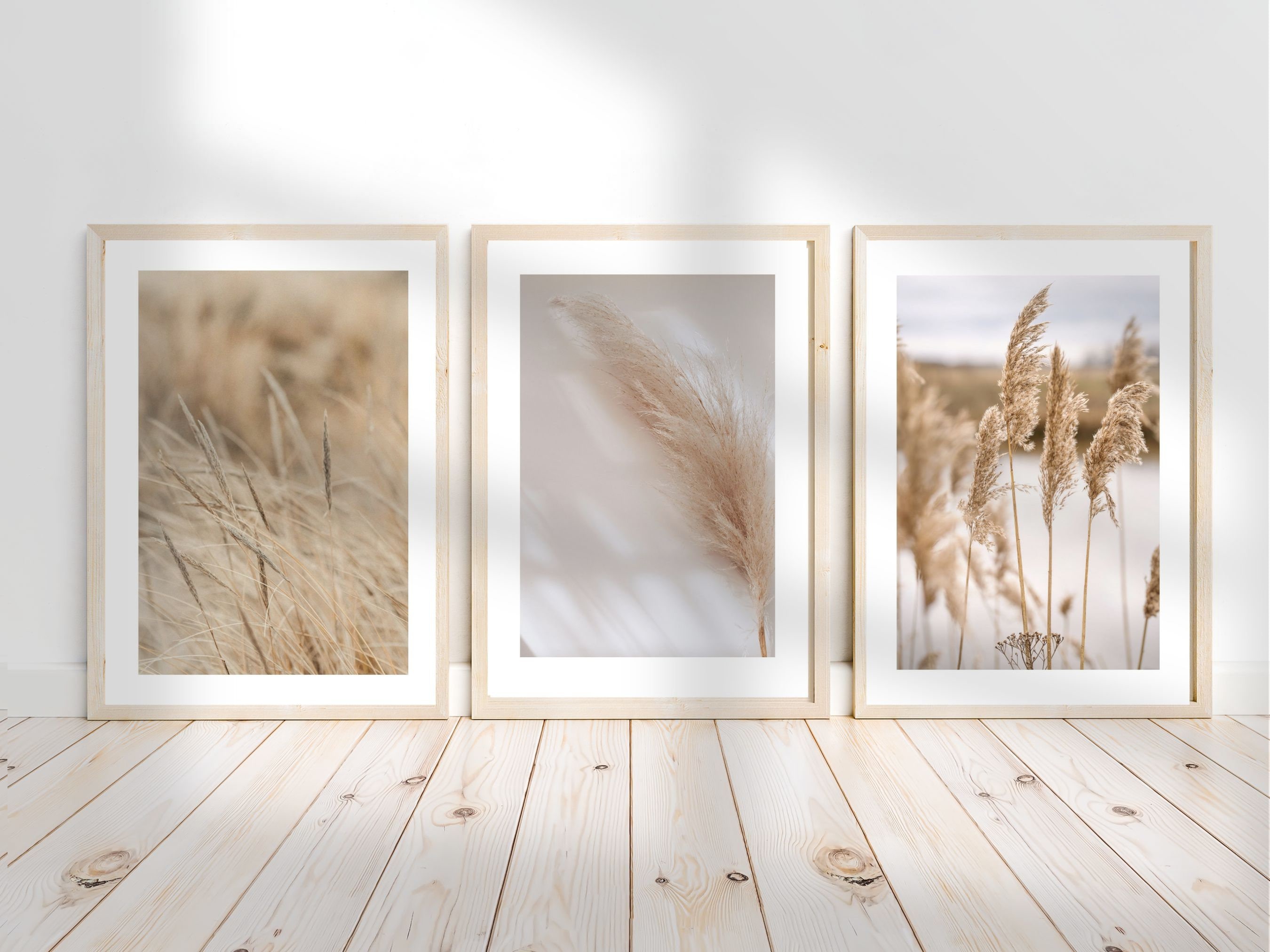 Beige Pampas Grass Set of 3 Wall Art Posters, Pampas Grass Prints ...