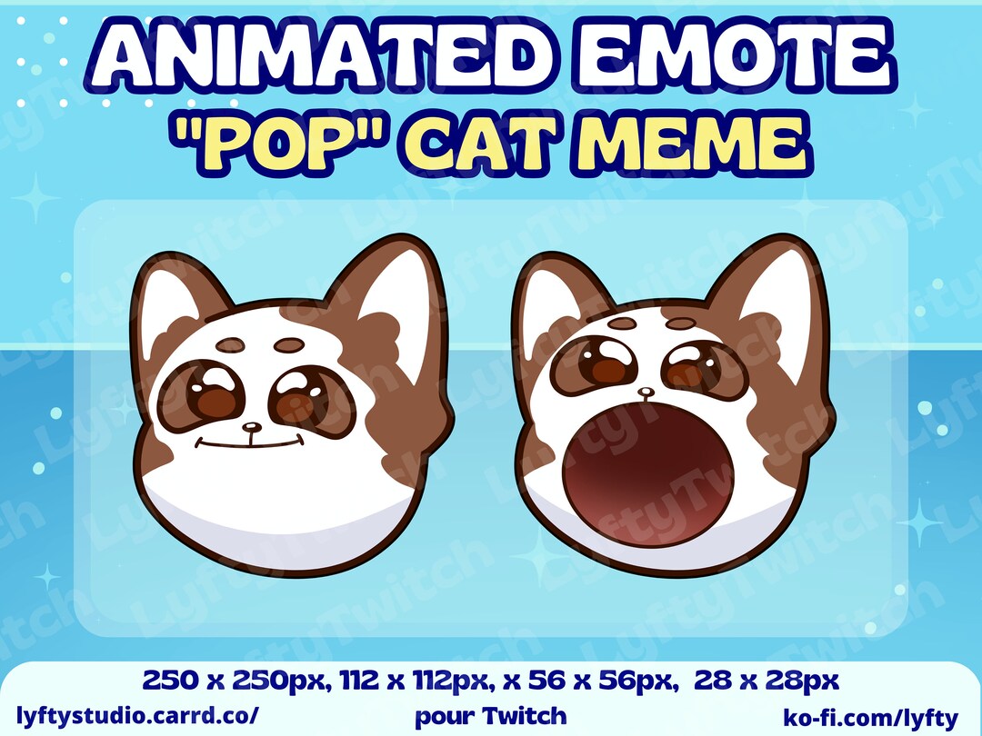 White Cat Memes - Emotes for Twitch, Discord, Meme Pack, Cute White ...