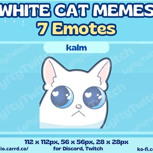 White Cat Memes - Emotes for Twitch, Discord, Meme Pack, Cute White ...