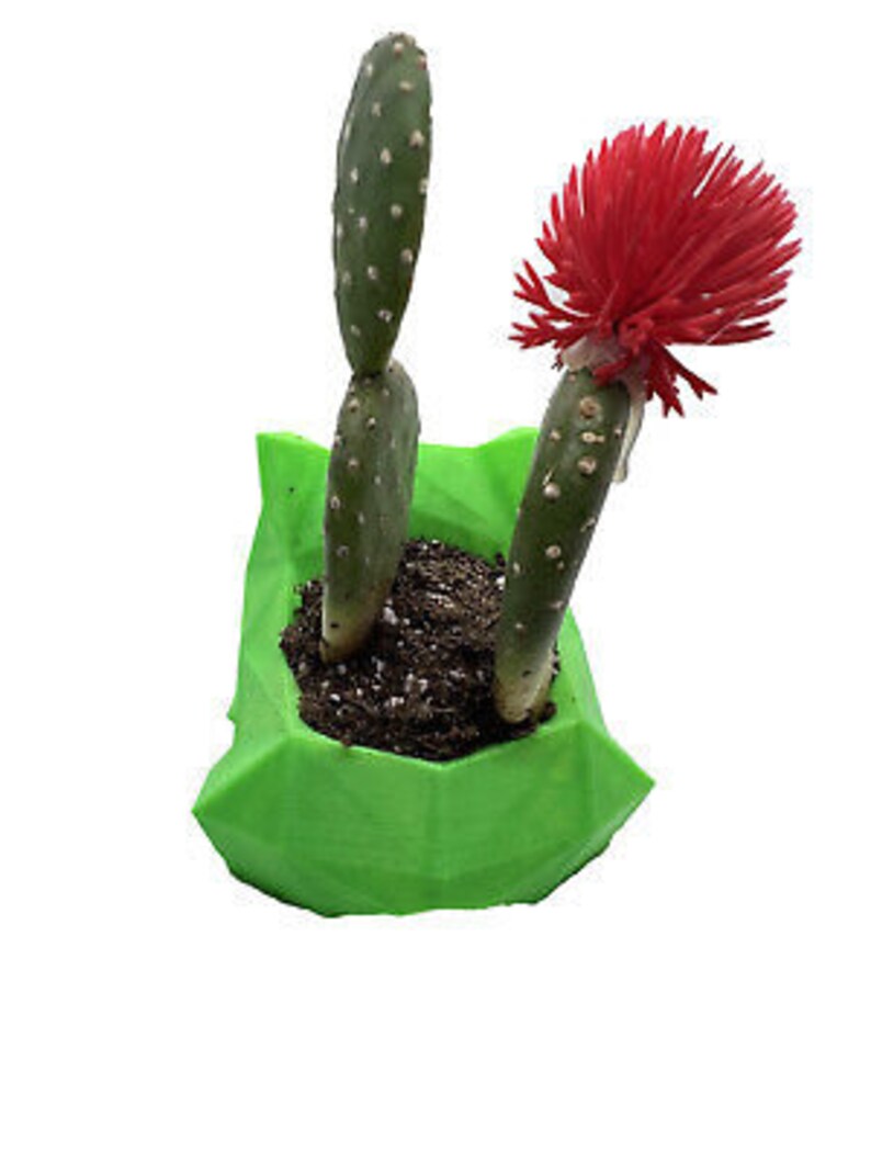 Pokemon Bulbasur 3d Printed Planter Succulent Cactus Custom - Etsy