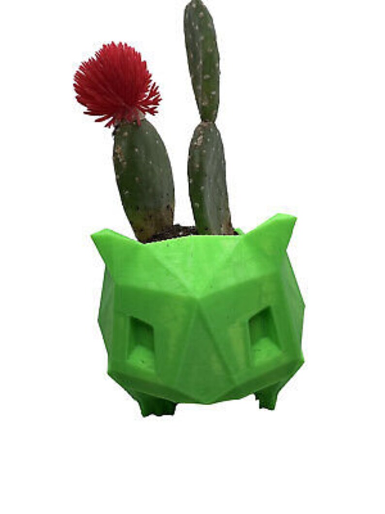 Pokemon Bulbasur 3d Printed Planter Succulent Cactus Custom - Etsy