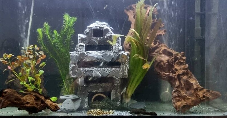 Space Saver Fish Breeding Tower - Etsy