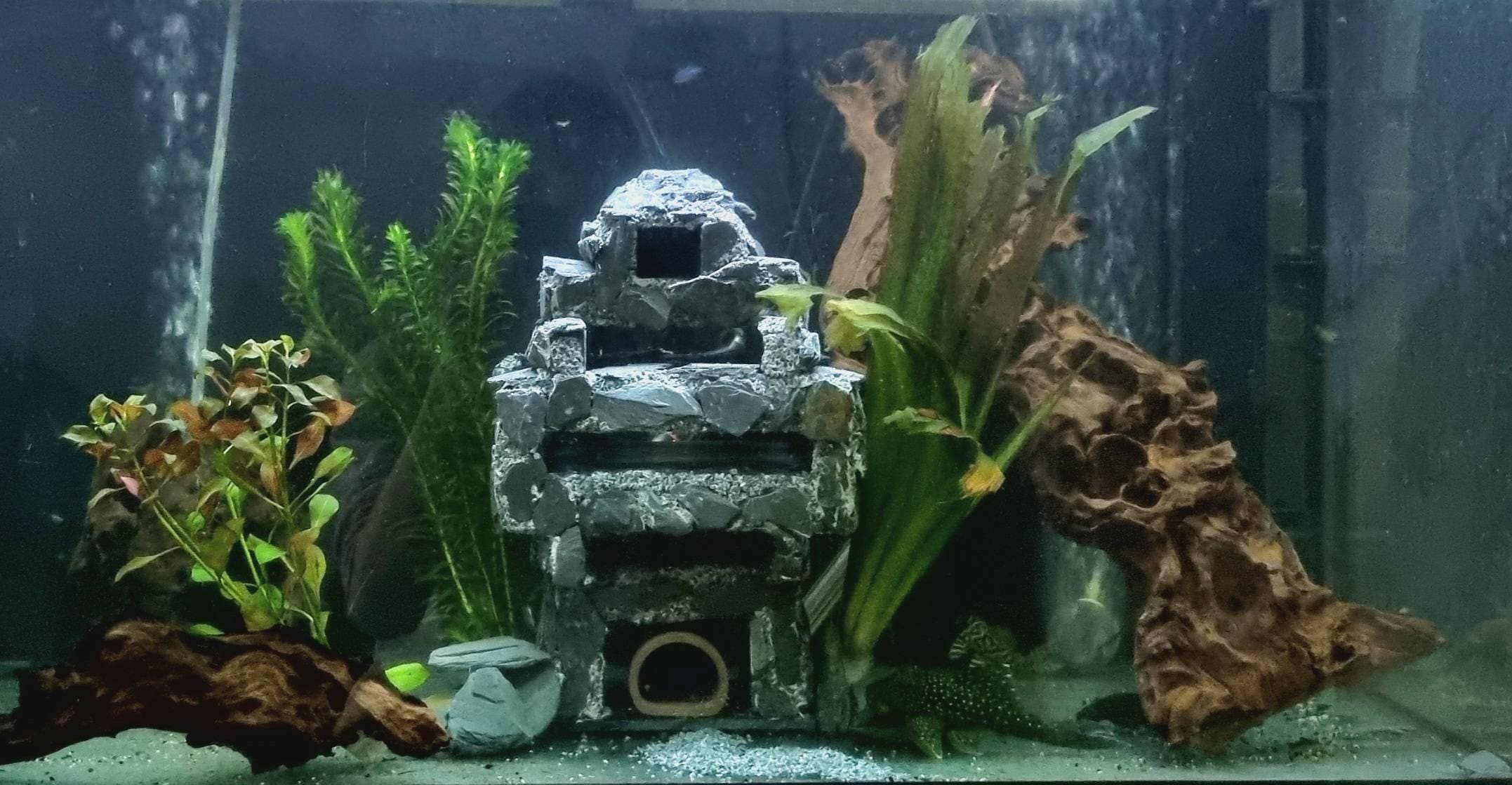 Space Saver Fish Breeding Tower - Etsy