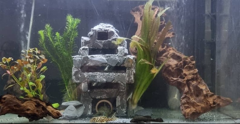 Space Saver Fish Breeding Tower - Etsy