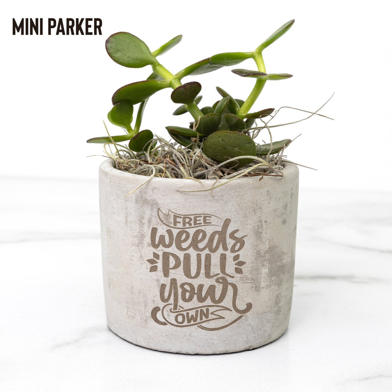 Gift From Team, Funny Plant Pot, Succulent Planter, Eco-friendly Gift ...