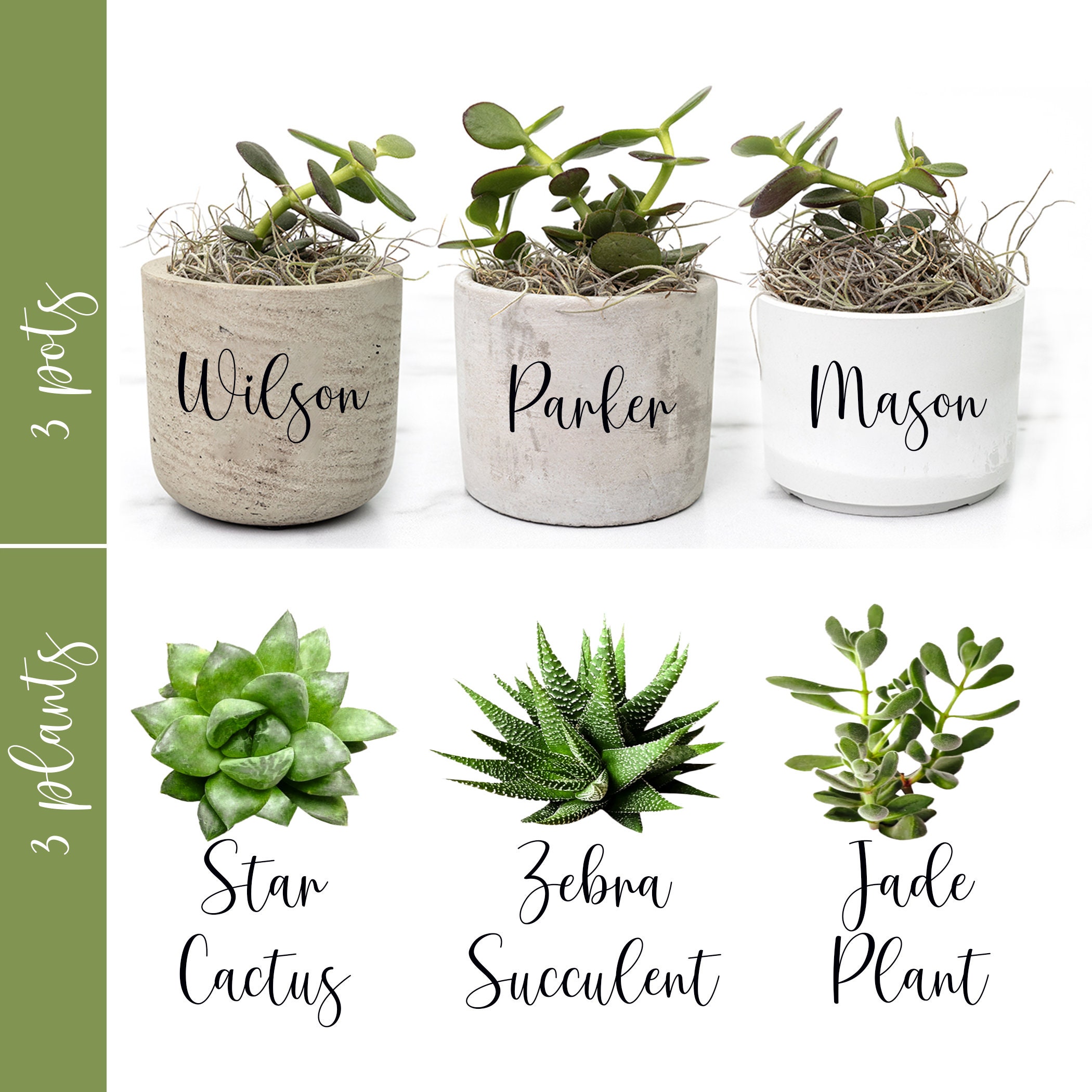 Personalized Planter, Custom Flower Pot, Appreciation Gift, Thank You ...