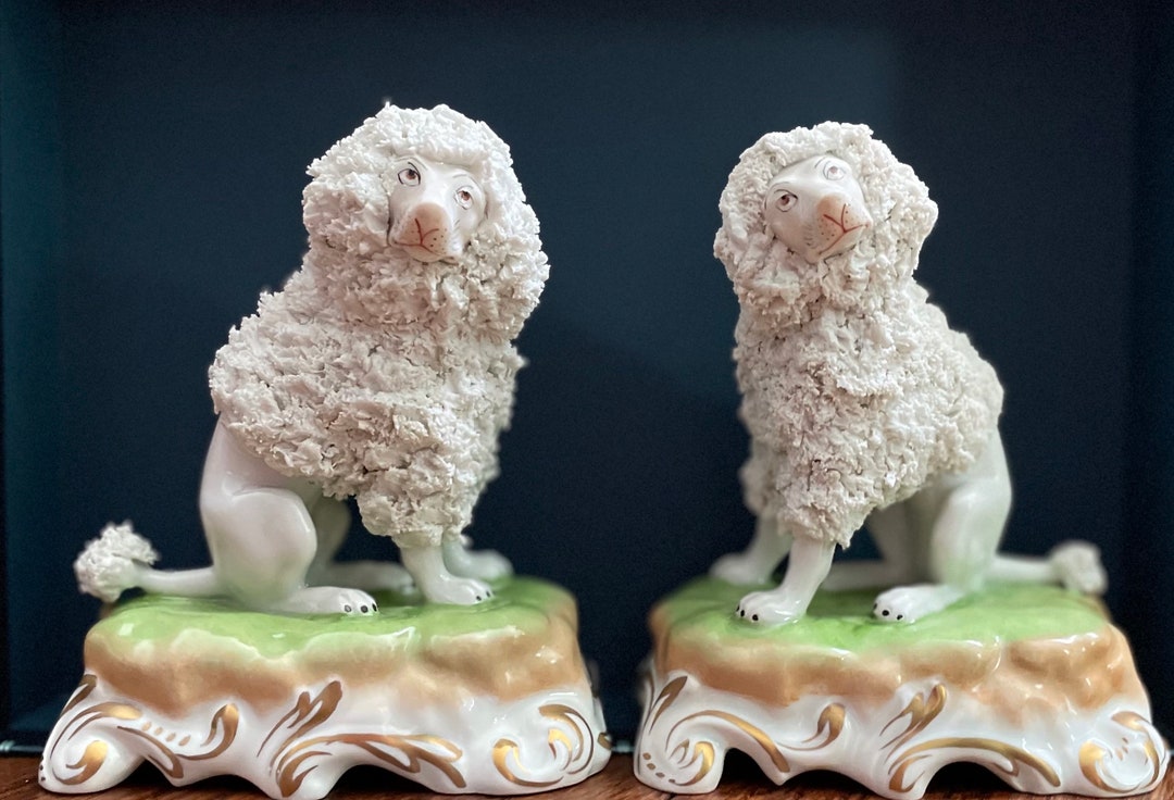 Antique Dresden Potschappel Carl Thieme Porcelain Spaghetti Poodle Dog ...