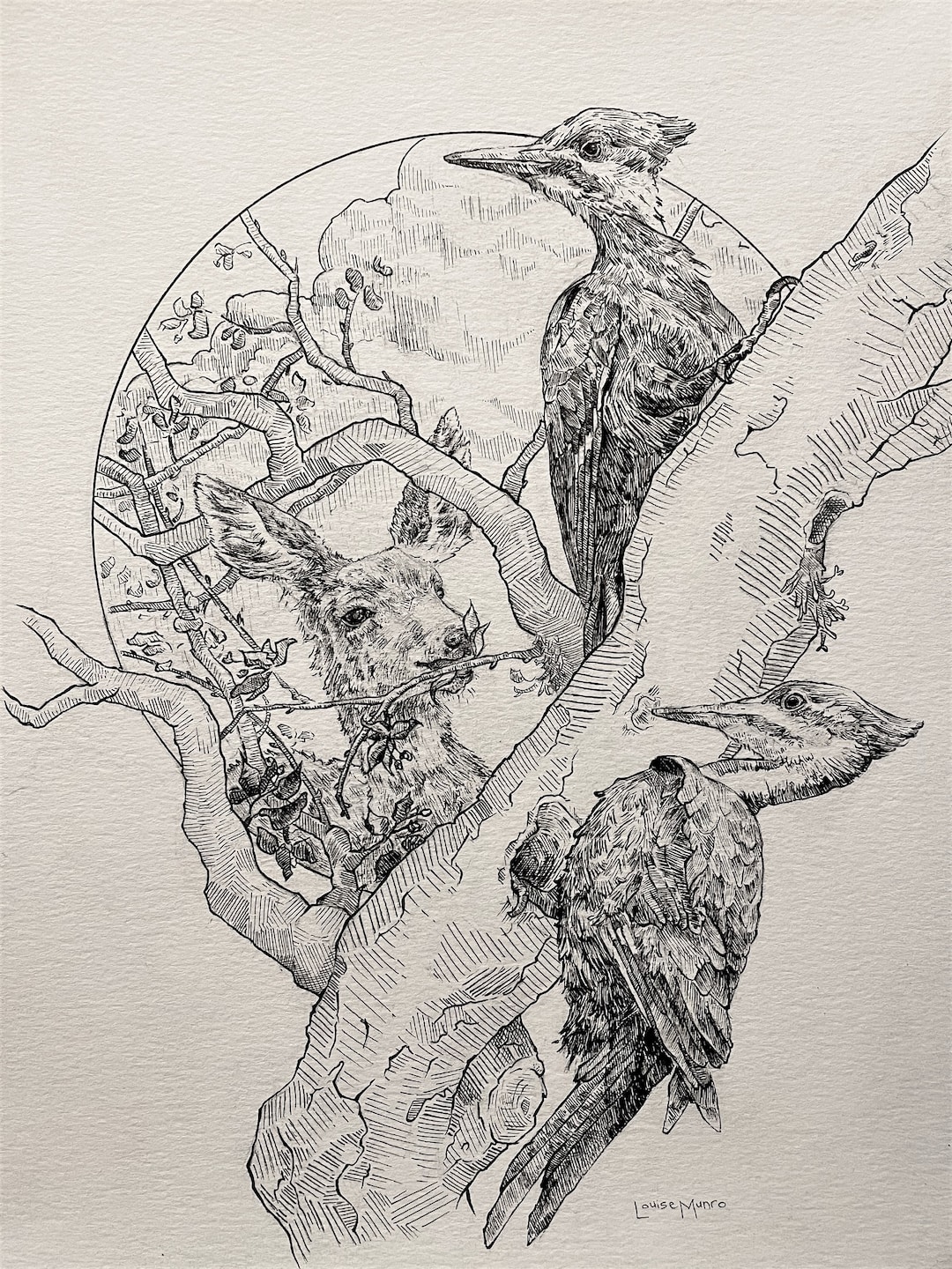 Springtime Feast for Apple Tree Varmints, Pileated Woodpecker, White ...