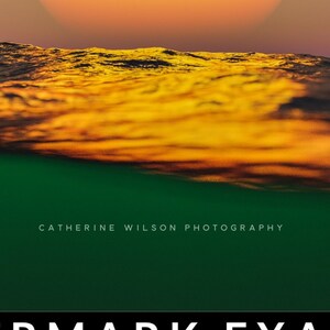 Design 3 Photography Watermark Custom Logo Business Branding Identity ...