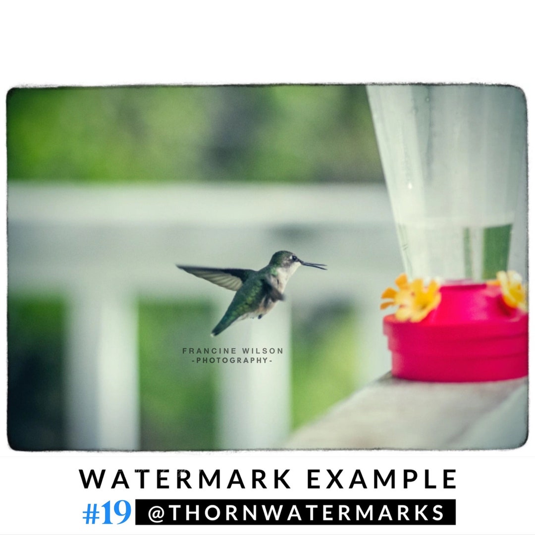 Design 19 Photography Watermark Custom Logo Business Branding Identity ...