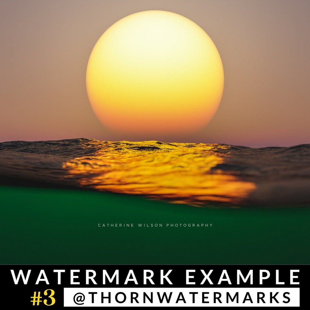 Design 3 Photography Watermark Custom Logo Business Branding Identity ...