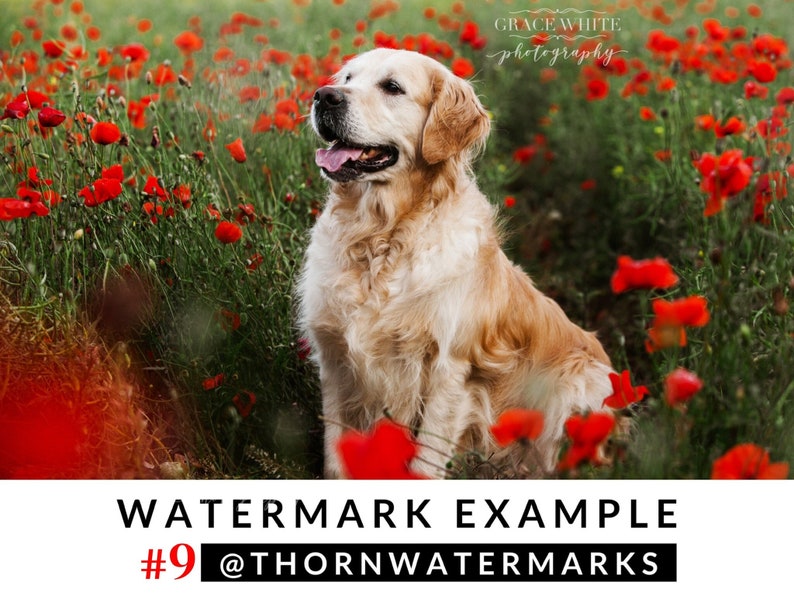 Design 9 Photography Watermark Custom Logo Business Branding Identity ...