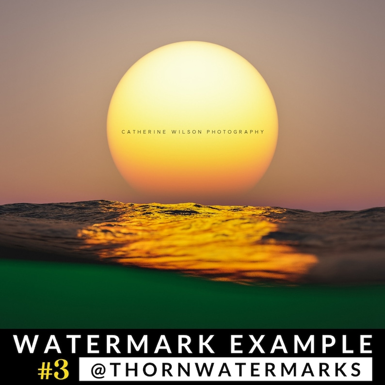 Design 3 Photography Watermark Custom Logo Business Branding Identity ...