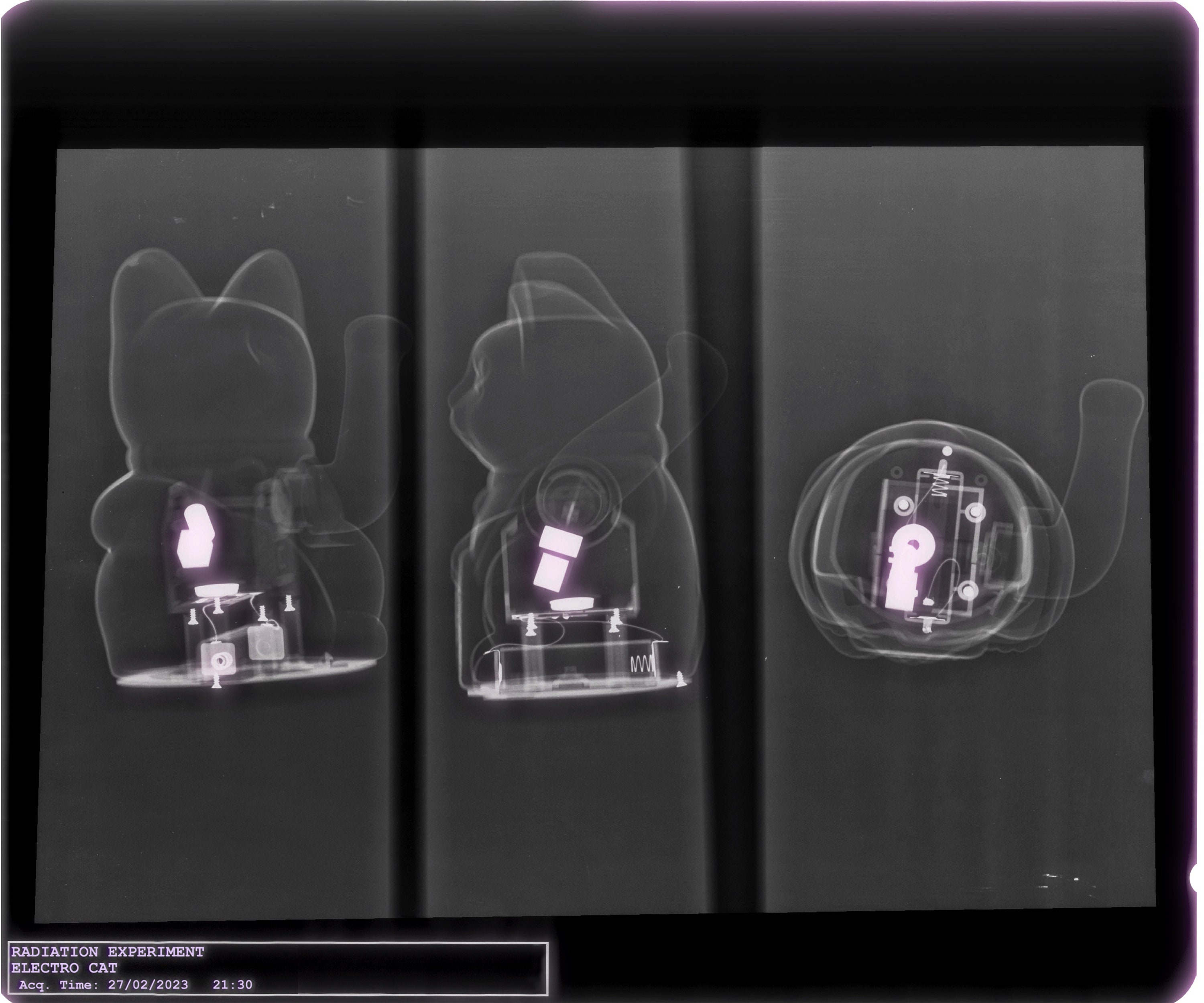 X-rays Art Objects Original Film - Etsy