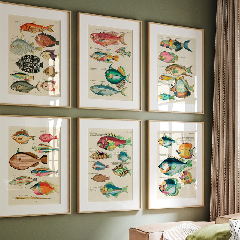 Vintage Fish Poster - Etsy