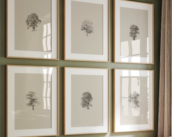 Mini Oak Tree Graphite Drawing, 8x8 Original Pencil Mounted Artwork ...