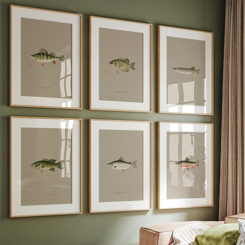 Freshwater Fish - Etsy