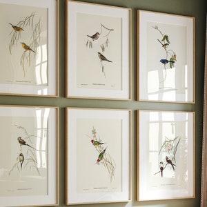 Vintage Art for Office, Fly Fishing Art, Sport Themed Wall Art, Fishing ...