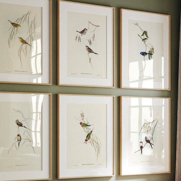 Vintage Art for Office, Fly Fishing Art, Sport Themed Wall Art, Fishing ...