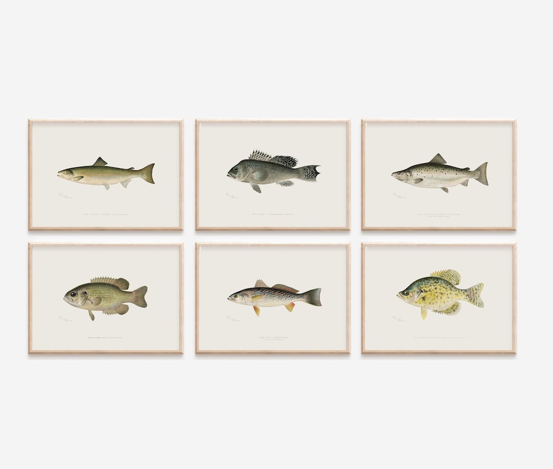 Neutral Fish Landscape Prints Set, 6 Fish Prints, Marine Print Set ...
