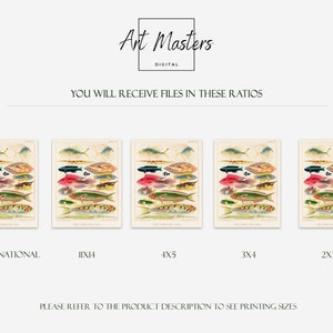 Great Barrier Reef Fish Prints, Vintage Marine Wall Art (digital ...