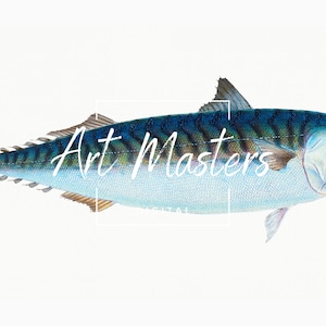 Marine Fish Prints Gallery Wall Set: British Fish Breeds (digital ...