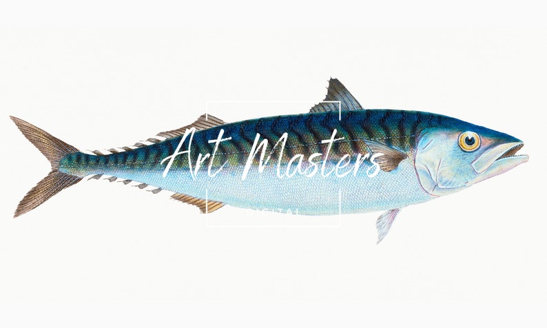 Marine Fish Prints Gallery Wall Set: British Fish Breeds (digital ...